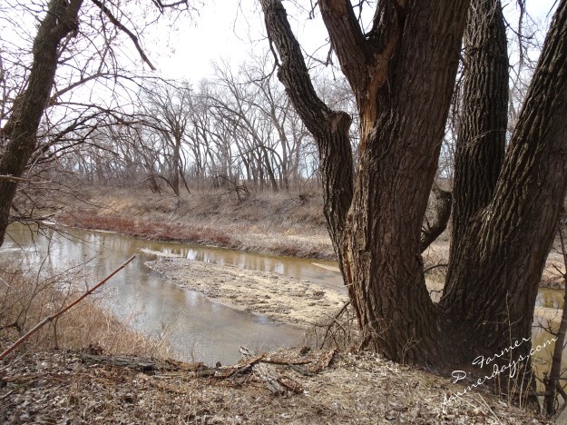 Faris Cave, Ellsworth County, KS | Farmer Days